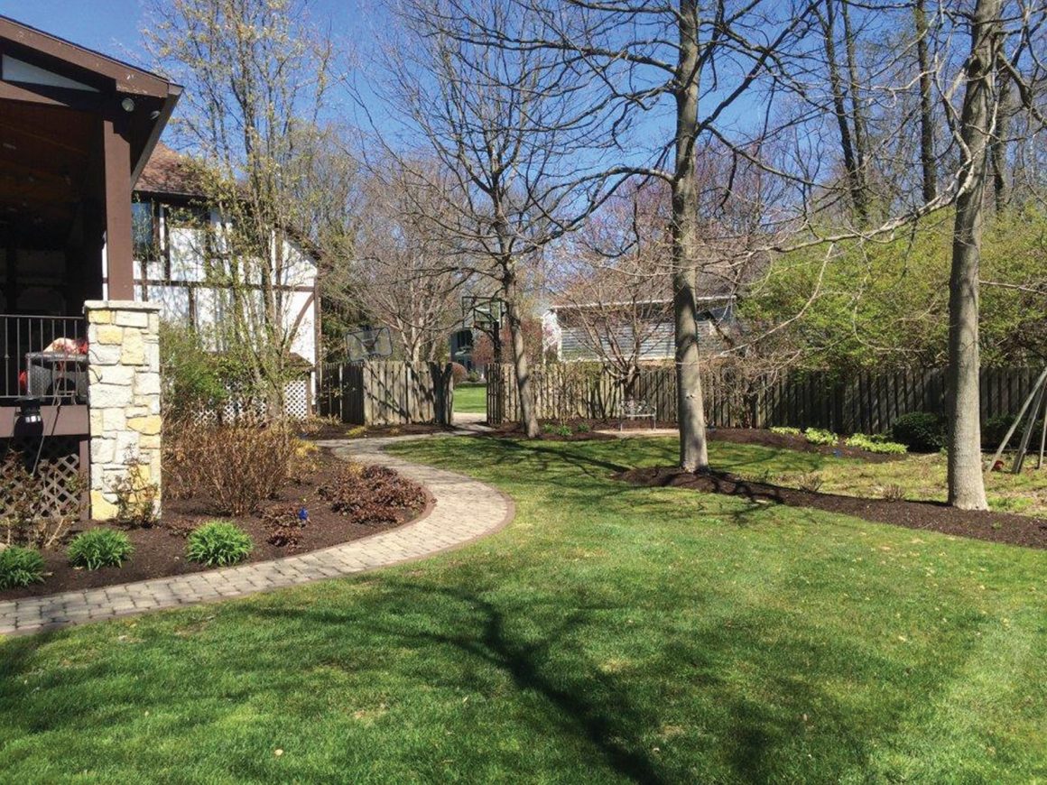 Renovated back yard offers a room in the woods