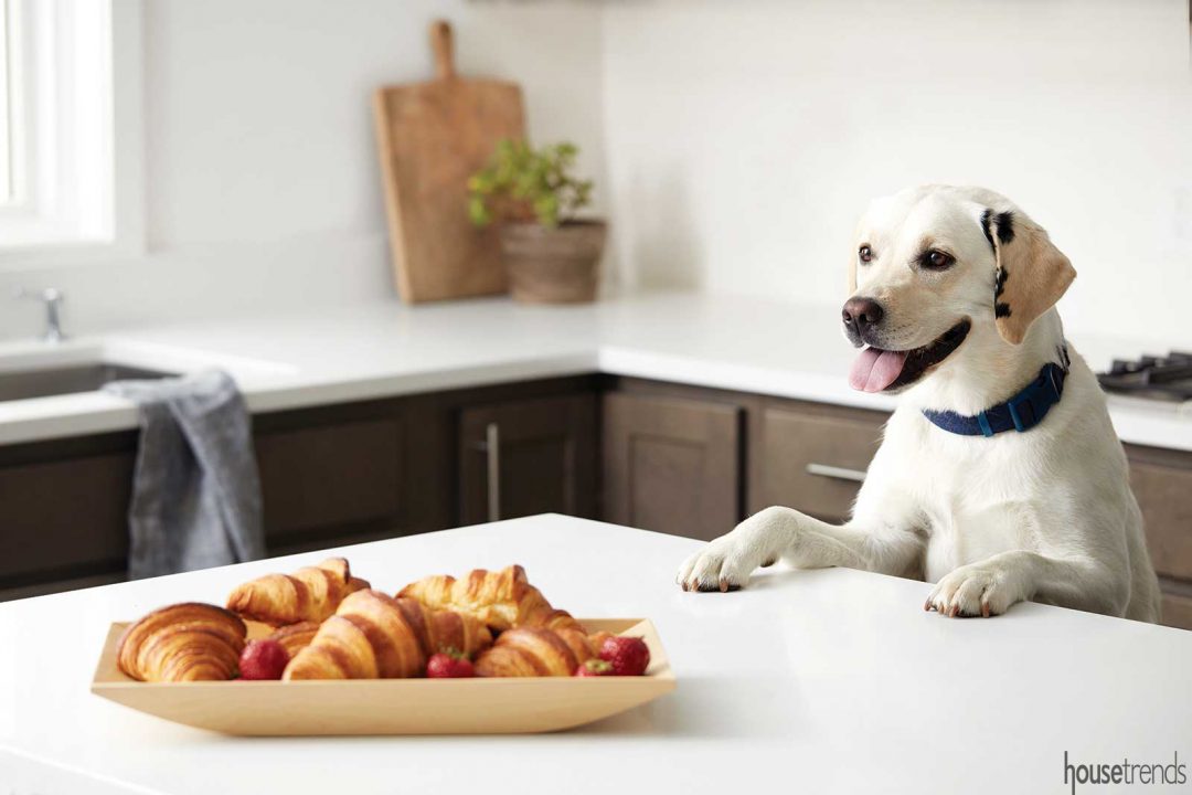 Eternia quartz showcases modern sophistication & visual appeal.